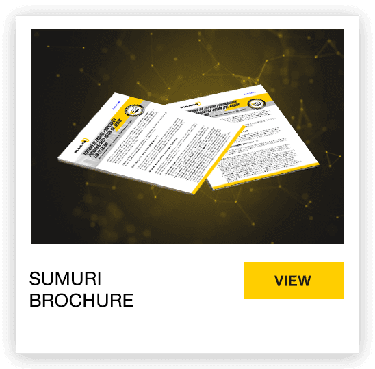 SUMURI Brochure : RECON ITR, RECON LAB AND TALINO